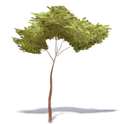 BIM objects - Free download! trees plants shrubs | BIMobject