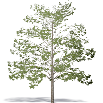 BIM objects - Free download! Revit Landscaping | BIMobject