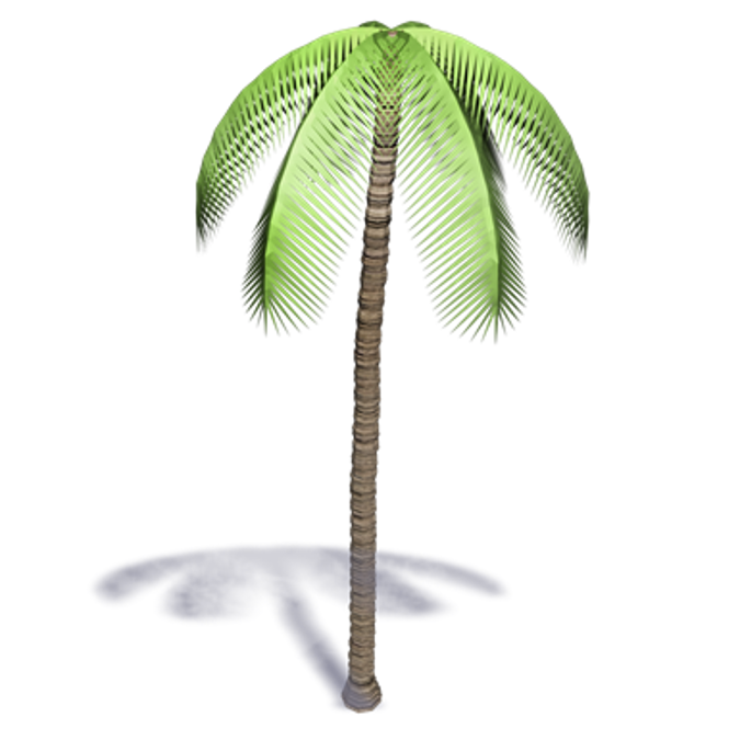 BIM objects - Free download! Palm Tree 4 | BIMobject