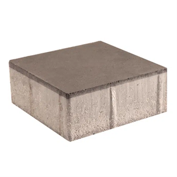 Objetos BIM - ¡Descarga gratis! Baldosa De Hormigón Pavinature 20X20 s ...