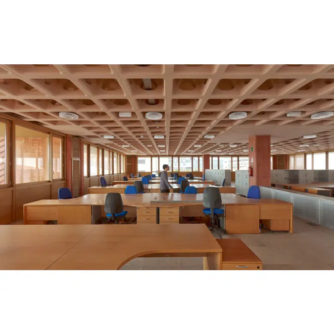 BIM objects - Free download! Ho 45 Waffle Slab | BIMobject