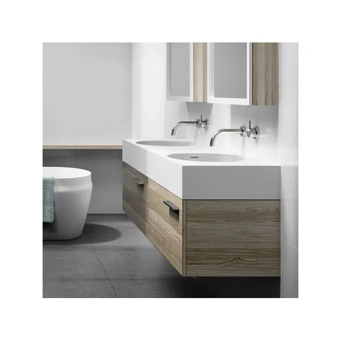 BIM objects - Free download! Omvivo Neo Solid Surface Wall Basin Double ...