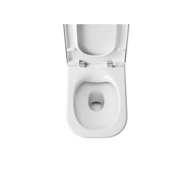 BIM objects - Free download! Roca The Gap Rimless Back to Wall Pan Soft ...