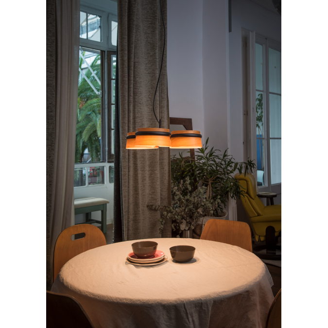 BIM objects - Free download! LOOP LED Black pendant lamp | BIMobject