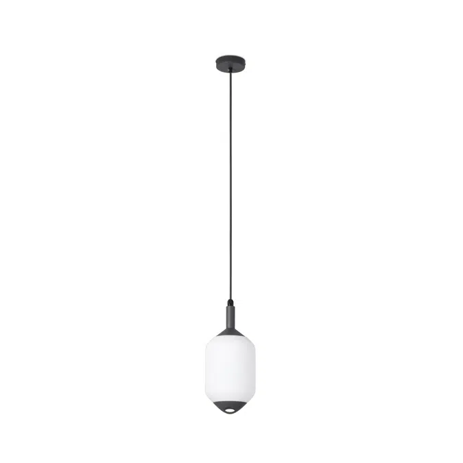 BIM objects - Free download! SAIGON OUT R17 Grey/matt white pendant ...