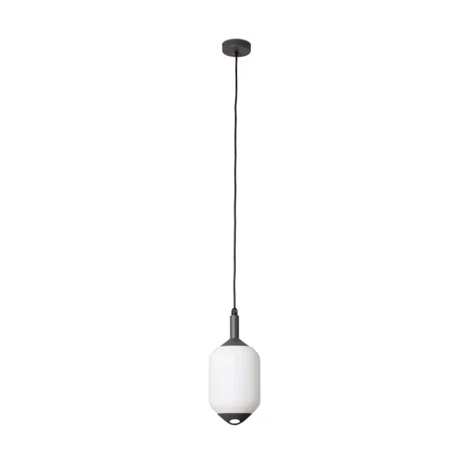 BIM objects - Free download! SAIGON OUT R17 Grey/matt white pendant ...
