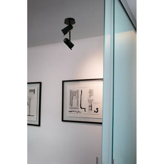 BIM objects - Free download! ORLEANS 2L Black ceiling lamp | BIMobject