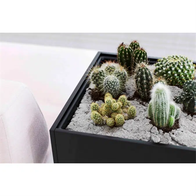 BIM objects - Free download! Plant Box Insert | BIMobject