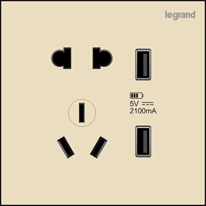 Об'єкти BIM – скачати безкоштовно! Chinese 5P Socket with Double USB ...