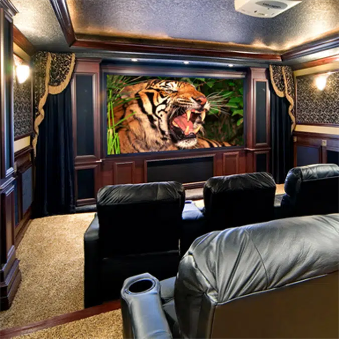 BIM objects - Free download! Clarion Fixed Projection Screen | BIMobject