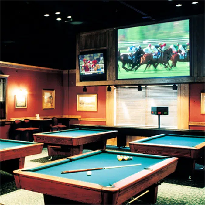 BIM objects - Free download! Clarion Fixed Projection Screen | BIMobject