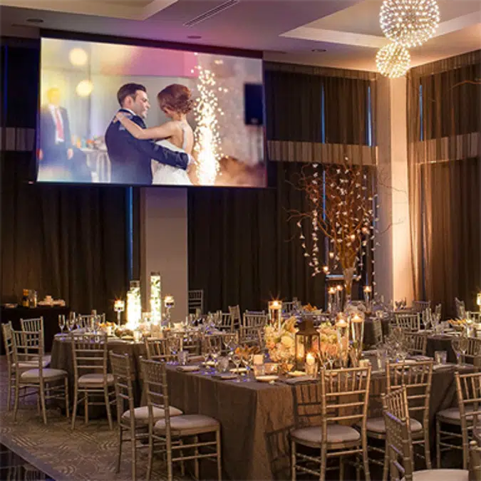 BIM objects - Free download! Access XL V Motorized Projection Screen ...