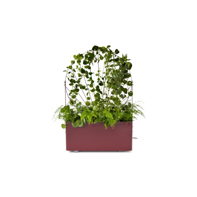BIM objects - Free download! Gro, planter | BIMobject