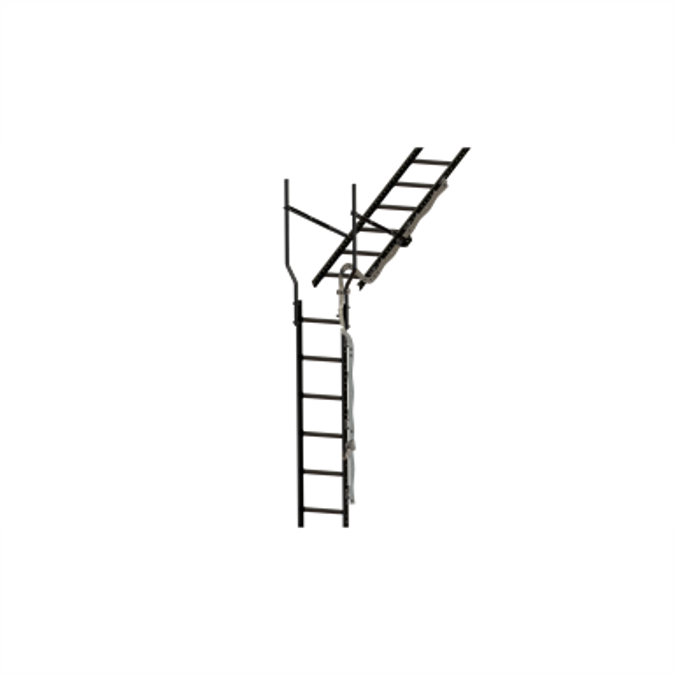 BIM objects - Free download! Facade Ladder with safety Rail | BIMobject