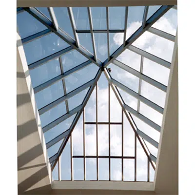 BIM 객체 - 무료로 다운로드하세요! Revit 창 - Skylights | BIMobject