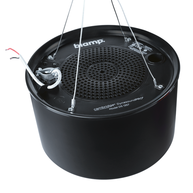 Об'єкти BIM – скачати безкоштовно! Dynasound® DS1357 Sound Masking ...