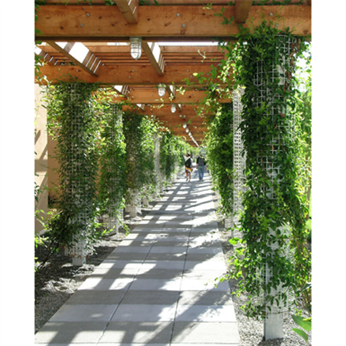 BIM objects - Free download! greenscreen®: Column shaped trellis ...