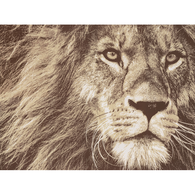 BIM objects - Free download! Art panel with Lion design [ Lion ...