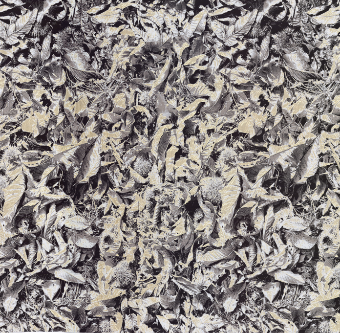 BIM objects - Free download! Textile - Fabric Textile | BIMobject