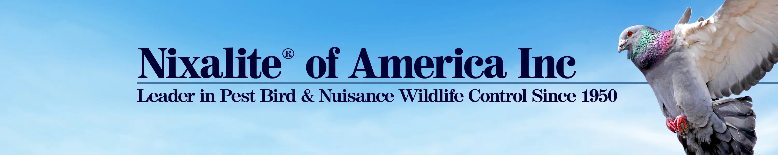 BIM objects - Free download! Nixalite of America, Inc | BIMobject